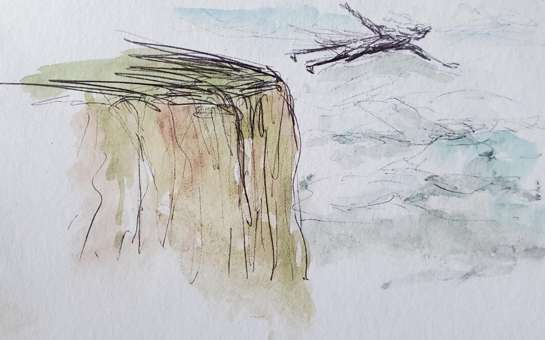 Berkeley Women’s Community Chorus - Berkeley Community Chorus & Orchestra